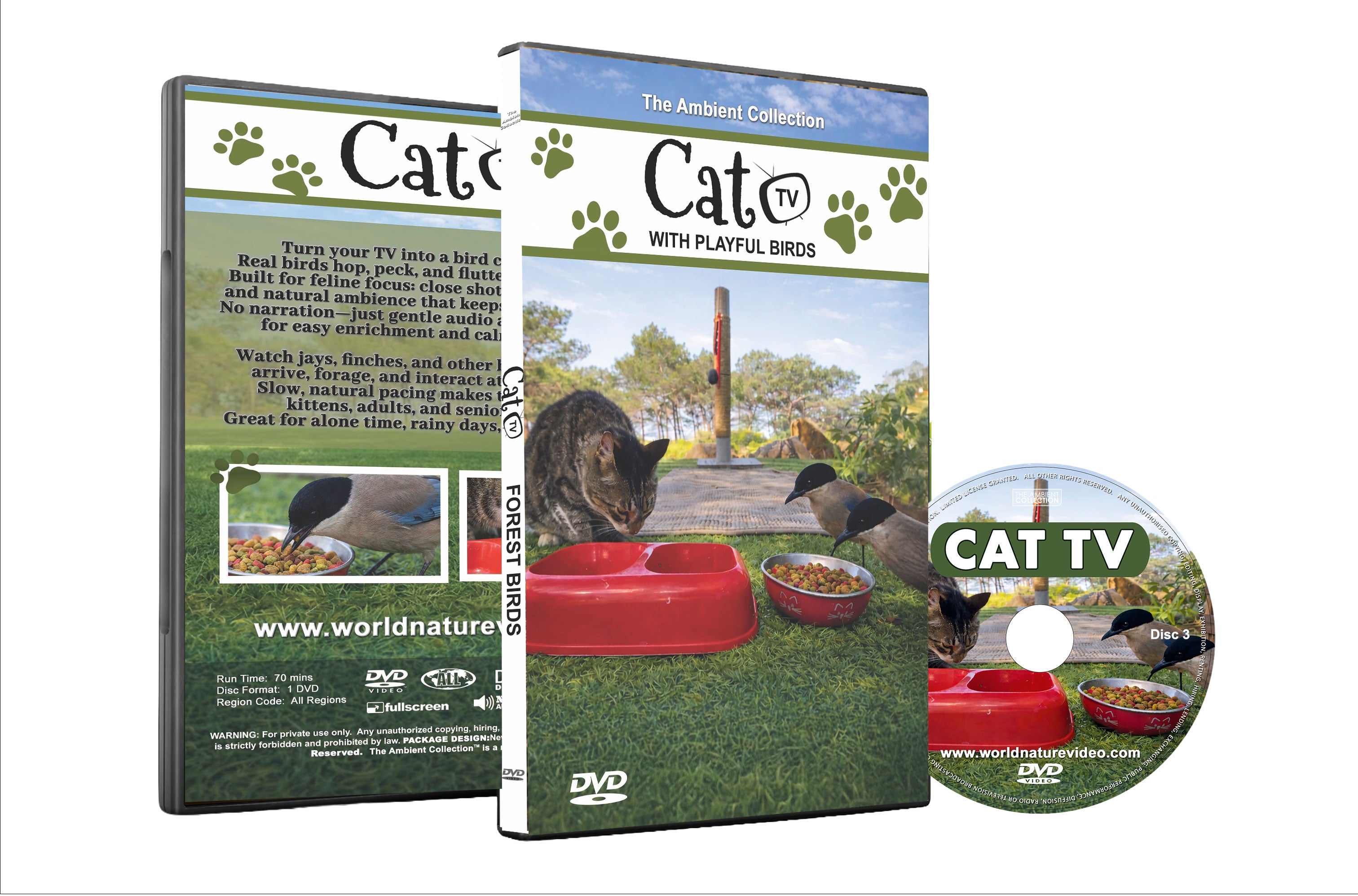 CAT TV – Playful Bird Encounters for Curious Cats – World Nature Video