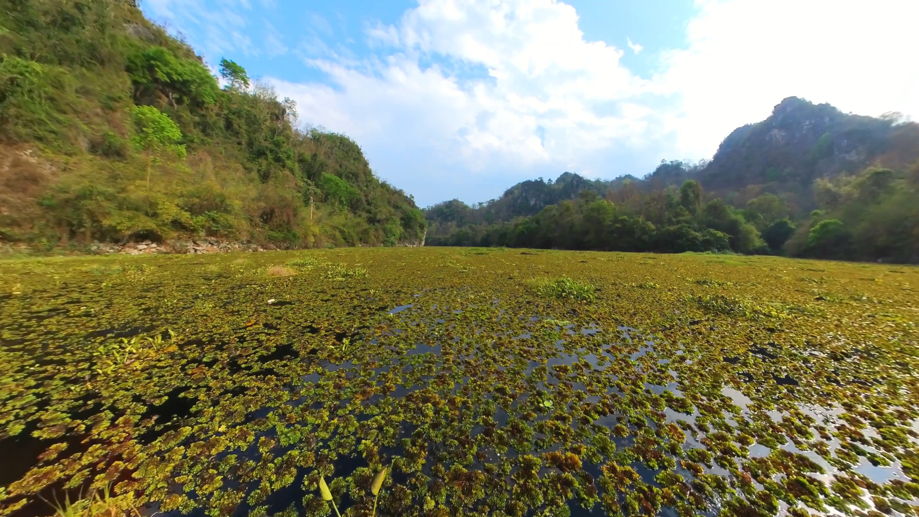 Virtual Rowing - Kew Lom Lake - Thailand – World Nature Video