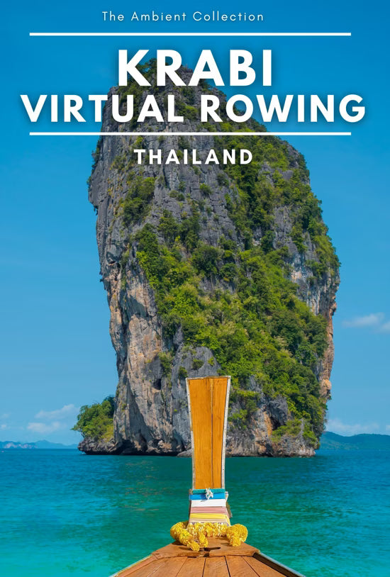 Virtual Rowing - Mangrove River - Krabi - Thailand – World Nature Video
