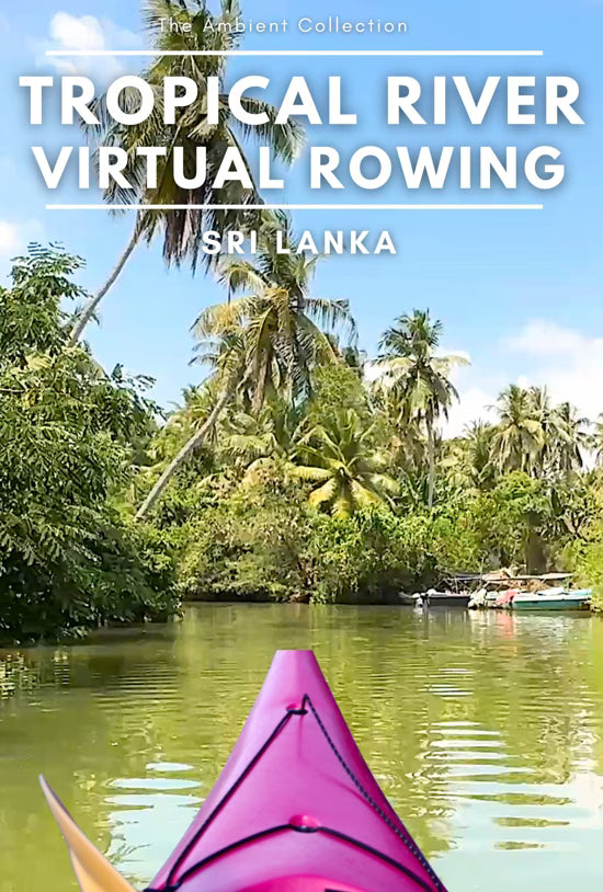 Virtual Rowing - Tropical River - Sri Lanka – World Nature Video