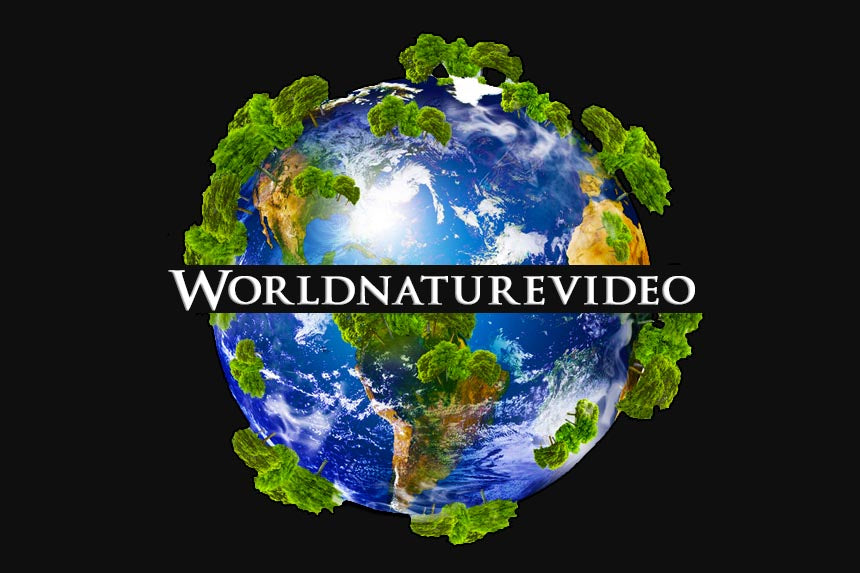 Virtual Tour Niagara Falls - New York - USA with Fun Facts and Trivia ...